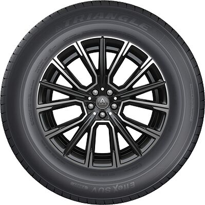 Шины Triangle TS601 EffeXSUV 225/60 R17 99V